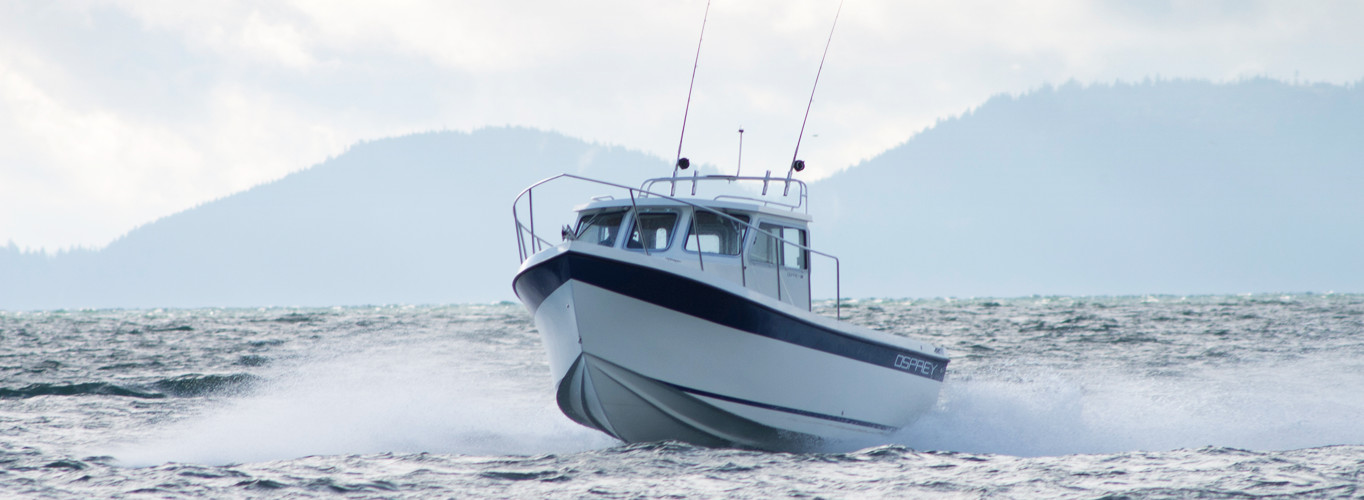 About Osprey - Osprey